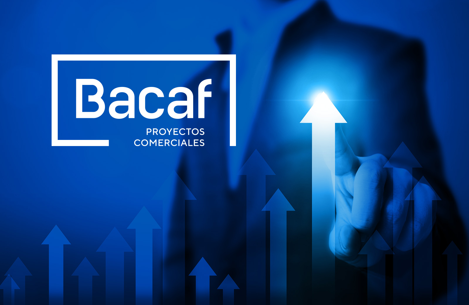 Bacaf se consolida como empresa de referencia dentro del sector de la ...